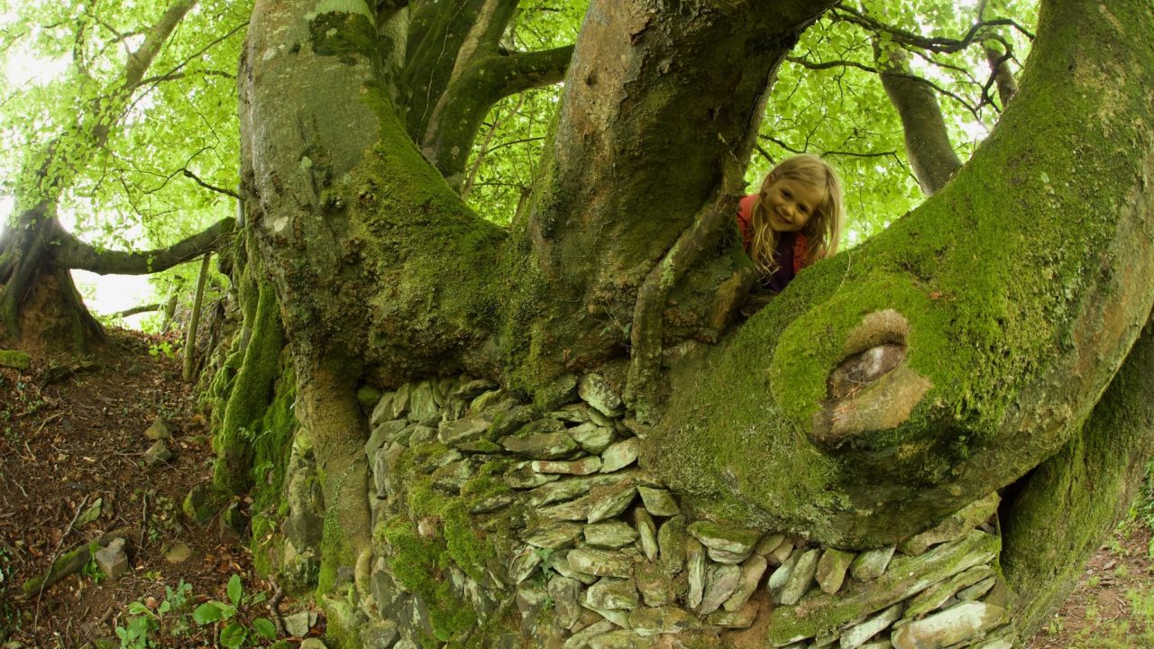 Children & Babies - Little Comfort Farm